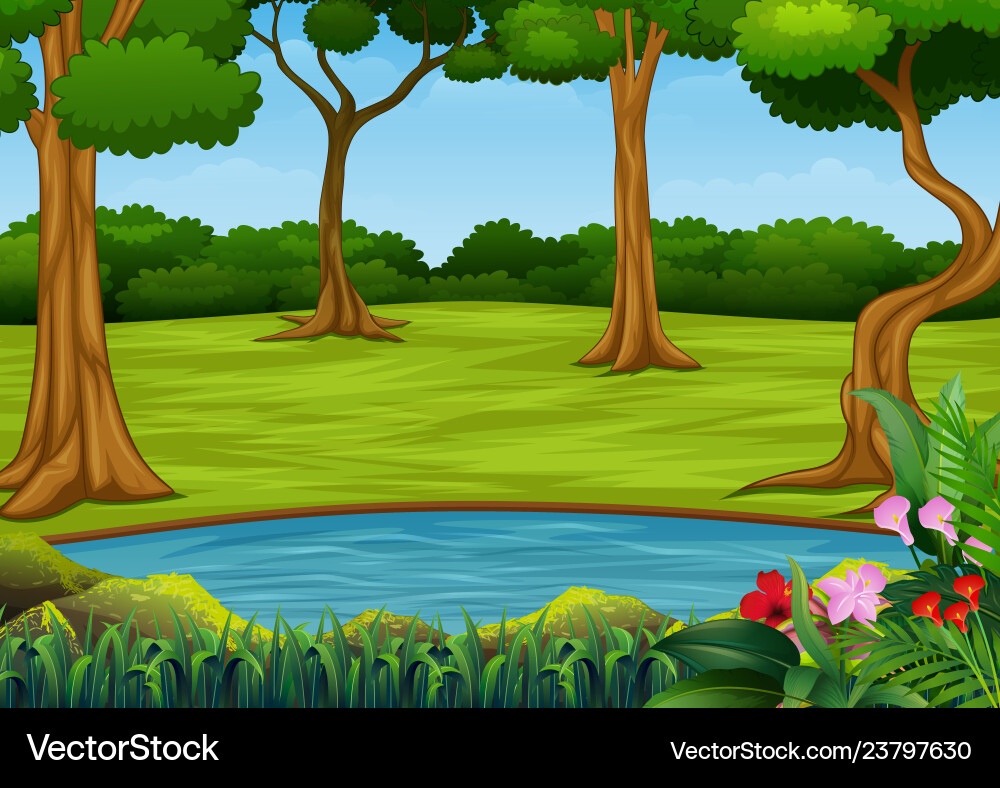 Forest scene with many trees and small pond Vector Image