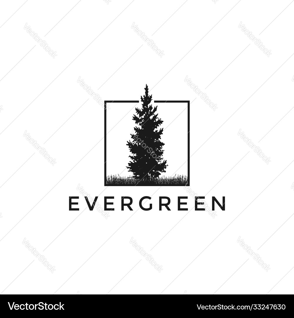 Simple minimalist pine cedar fir spruce evergreen Vector Image
