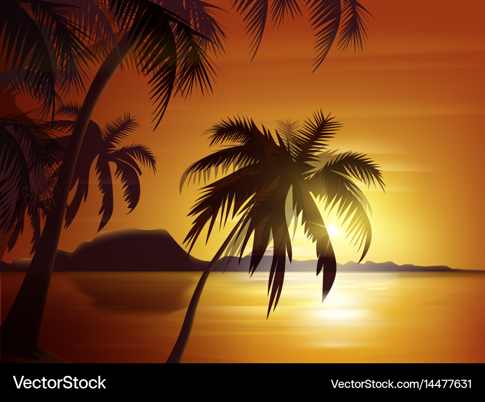 Orange tropical sunset Royalty Free Vector Image