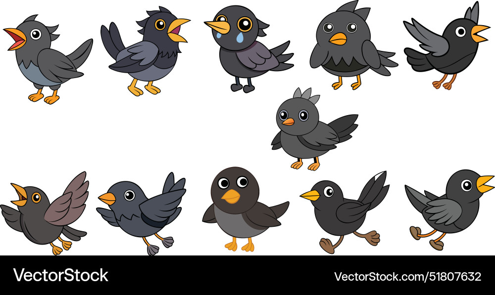 Blackbird design animal Royalty Free Vector Image