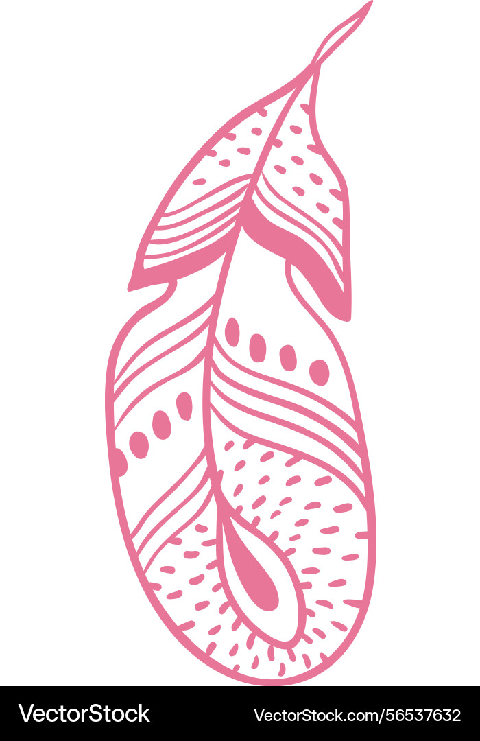 Light pink feather with decorative pattern Vector Image