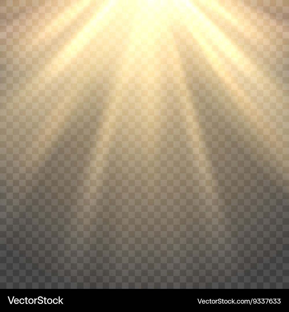 Sunlight on transparent background Royalty Free Vector Image