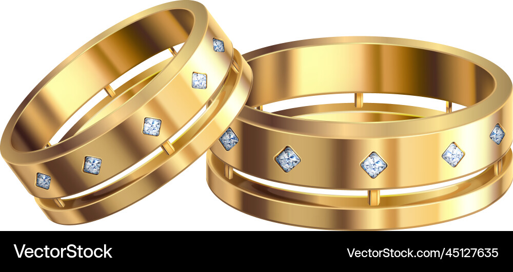 Gems rings pair composition Royalty Free Vector Image