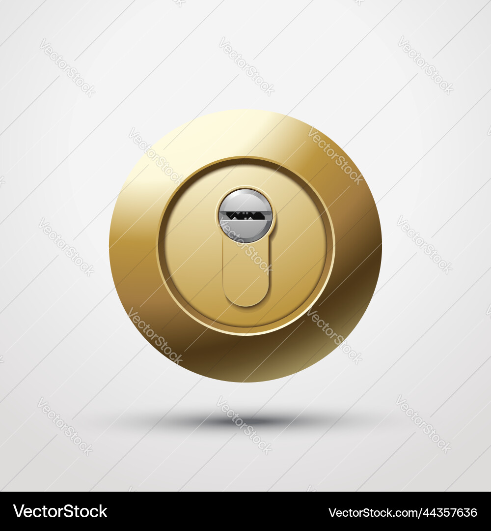Gold color door lock front view isolated Vector Image