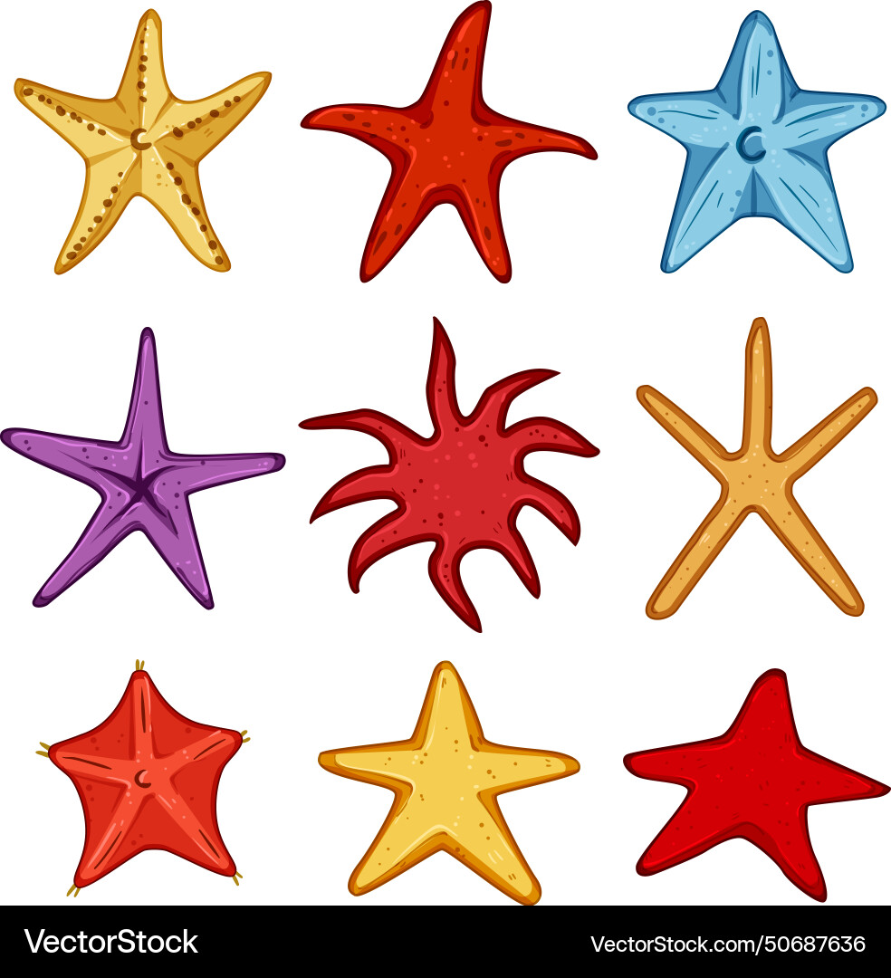 Sea star set cartoon Royalty Free Vector Image