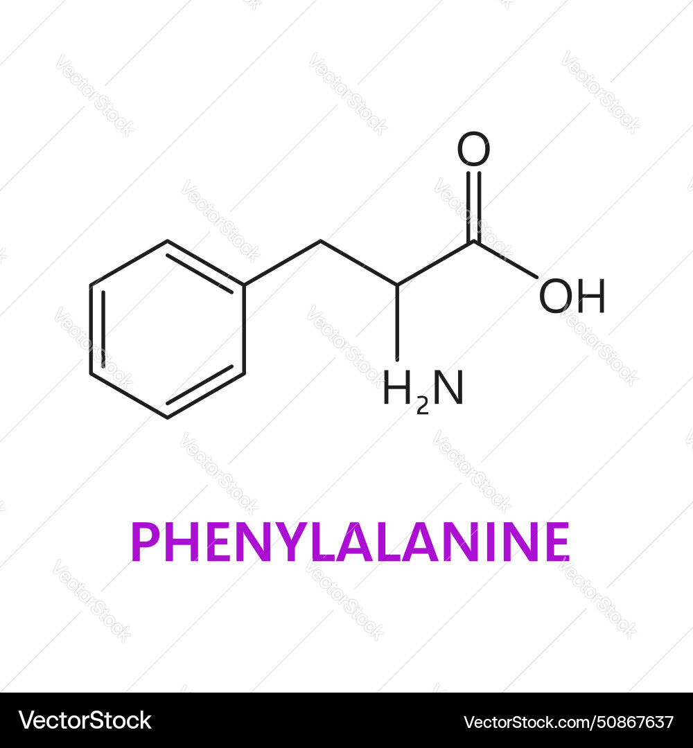 Amino acid phenylalanine chemical molecule chain Vector Image