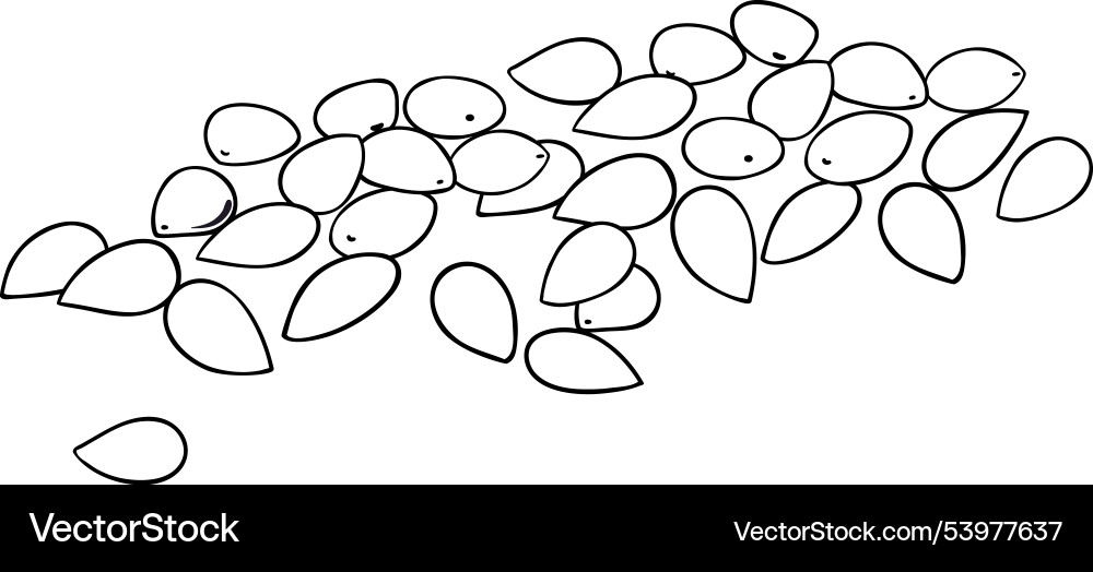 Sesame seeds isolated outline Royalty Free Vector Image