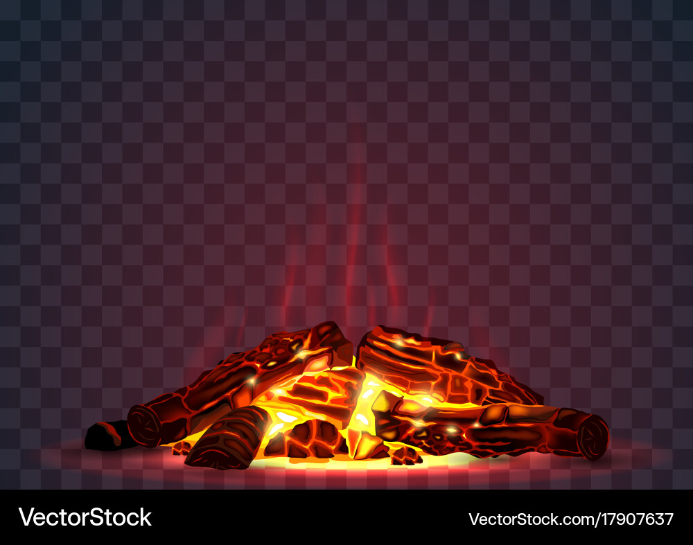 Smoldering fire at night Royalty Free Vector Image