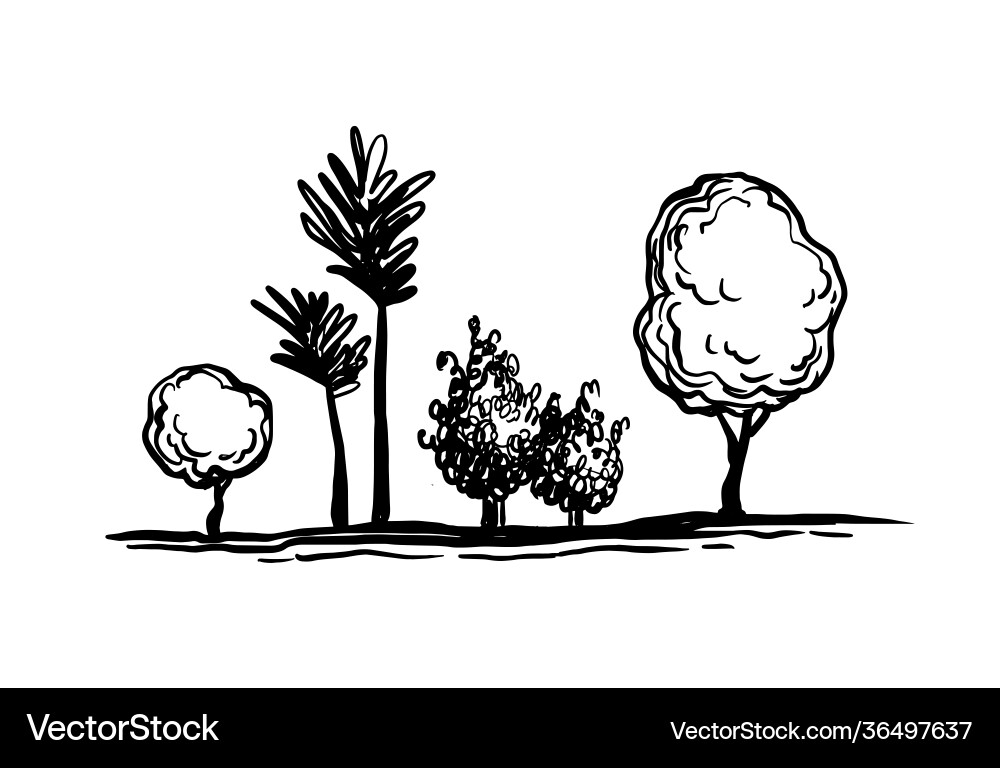 Trees ink sketch Royalty Free Vector Image - VectorStock