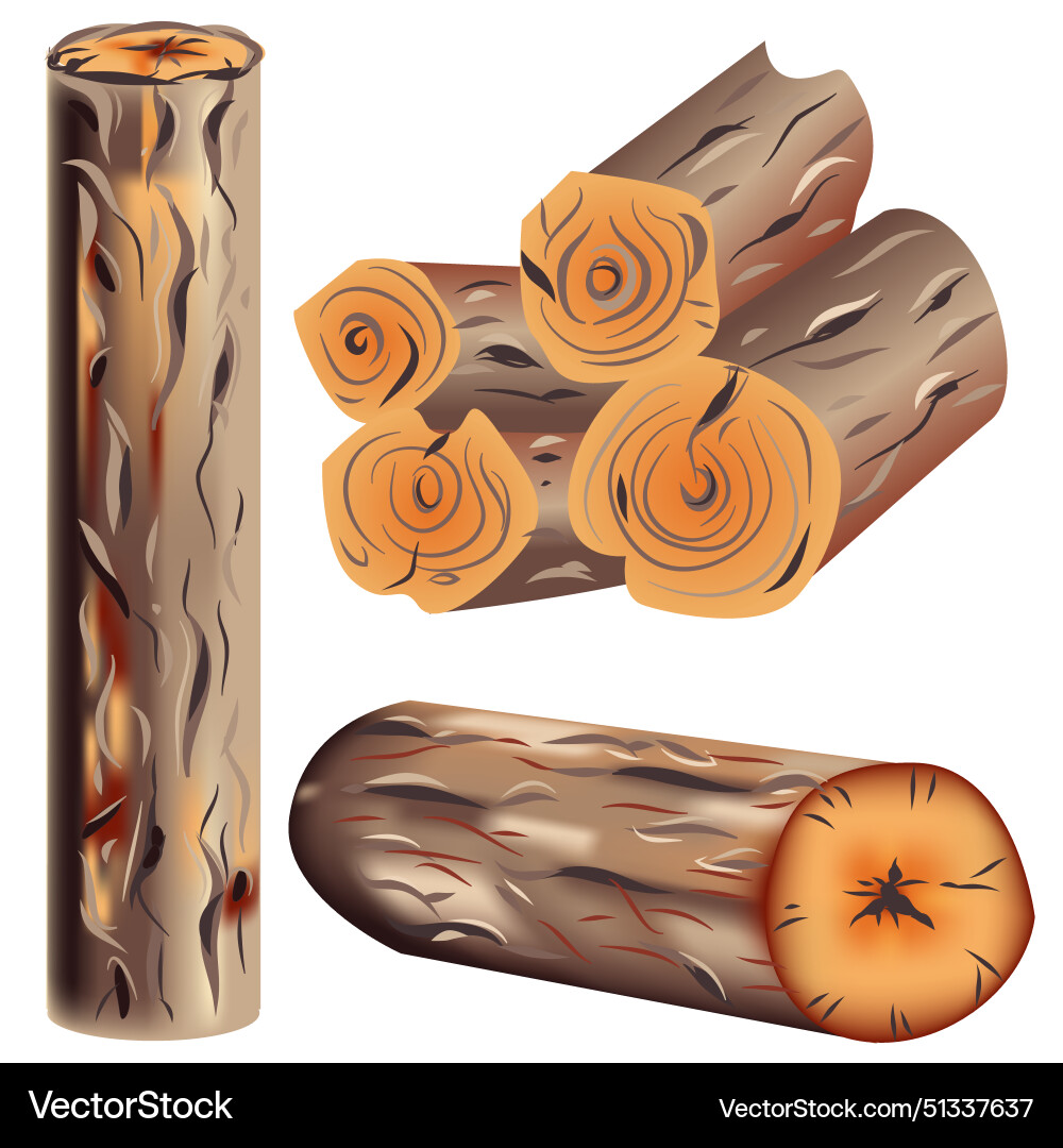 Wood logs set Royalty Free Vector Image - VectorStock