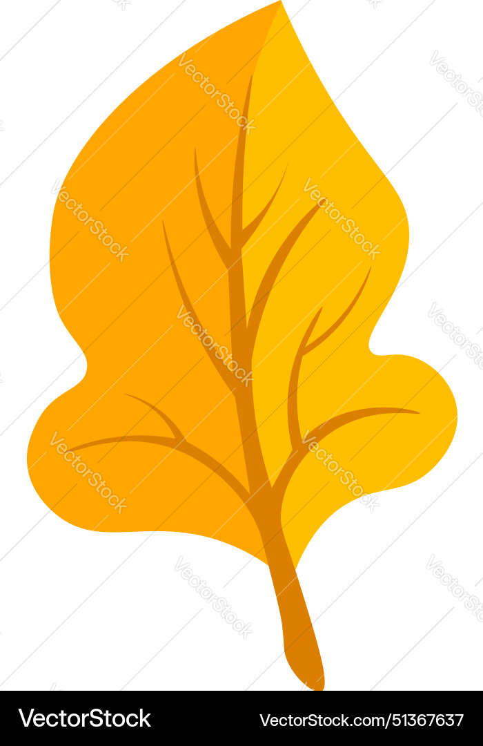 Yellow leaf on white background Royalty Free Vector Image