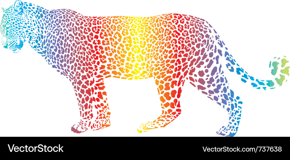 Abstract rainbow leopard Royalty Free Vector Image