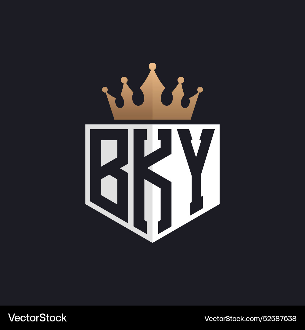 Luxury bky logo with crown elegant initials Vector Image