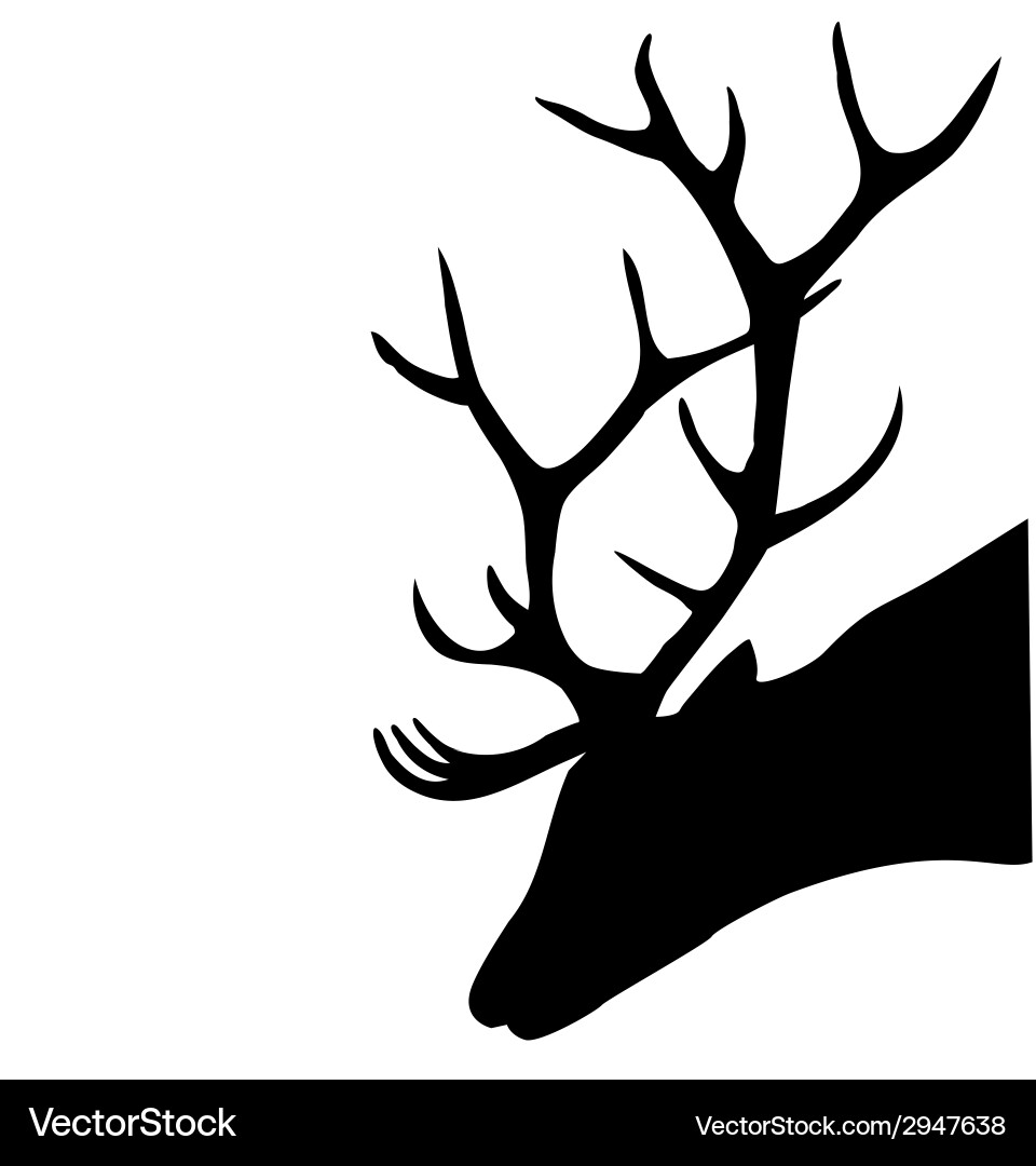 Stag Royalty Free Vector Image - VectorStock