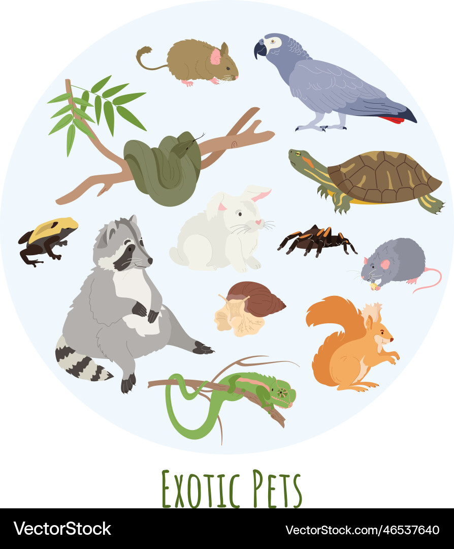 Exotic pets and fauna concept Royalty Free Vector Image