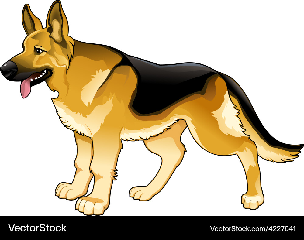 German shepherd Royalty Free Vector Image - VectorStock