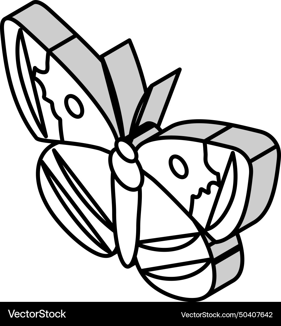 Mormon metalmark insect isometric icon Royalty Free Vector