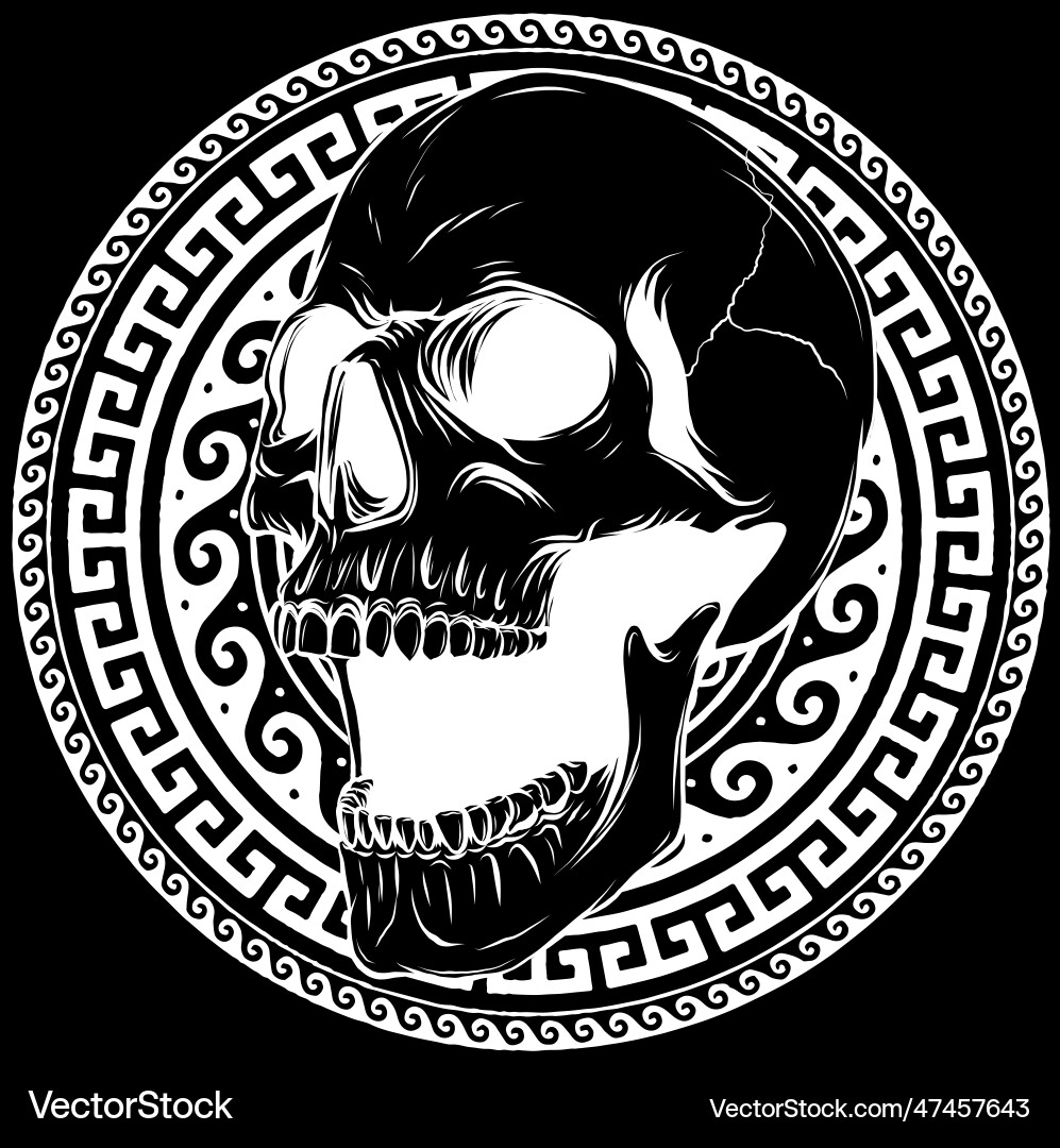 Outline human skull design Royalty Free Vector Image