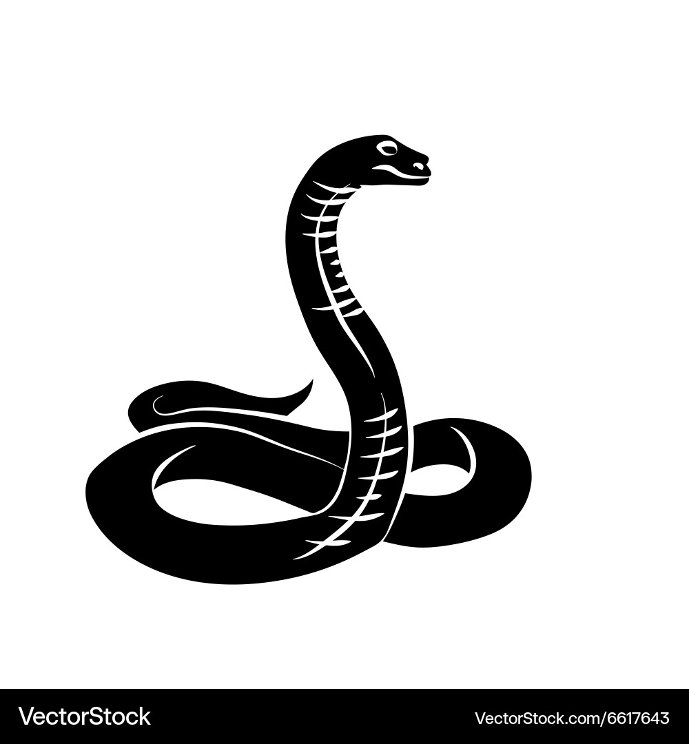 Schwarze Schlange Lizenzfreies Vektorbild - VectorStock