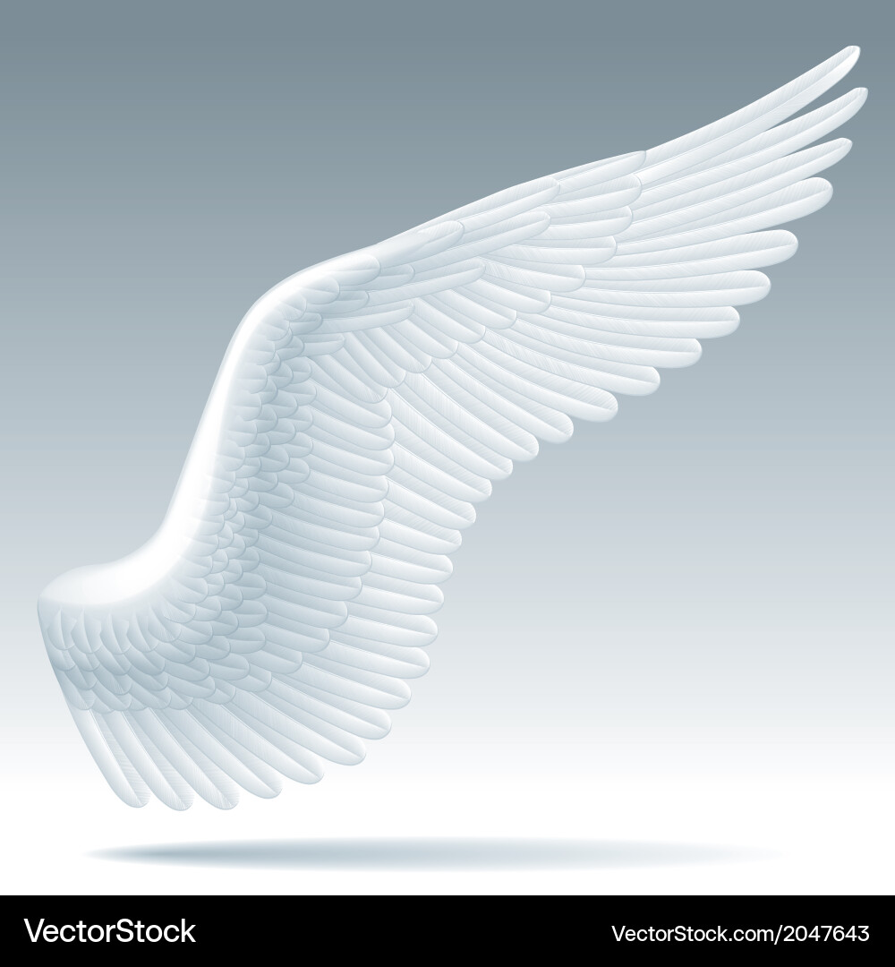 Wing Royalty Free Vector Image - VectorStock