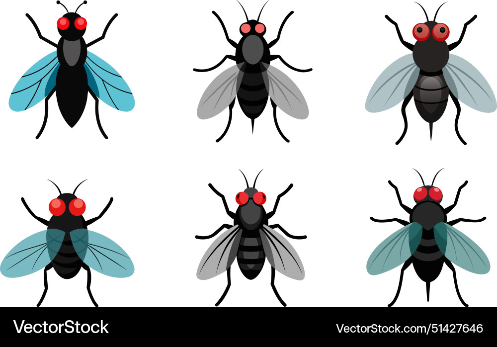 Fly logo icon Royalty Free Vector Image - VectorStock