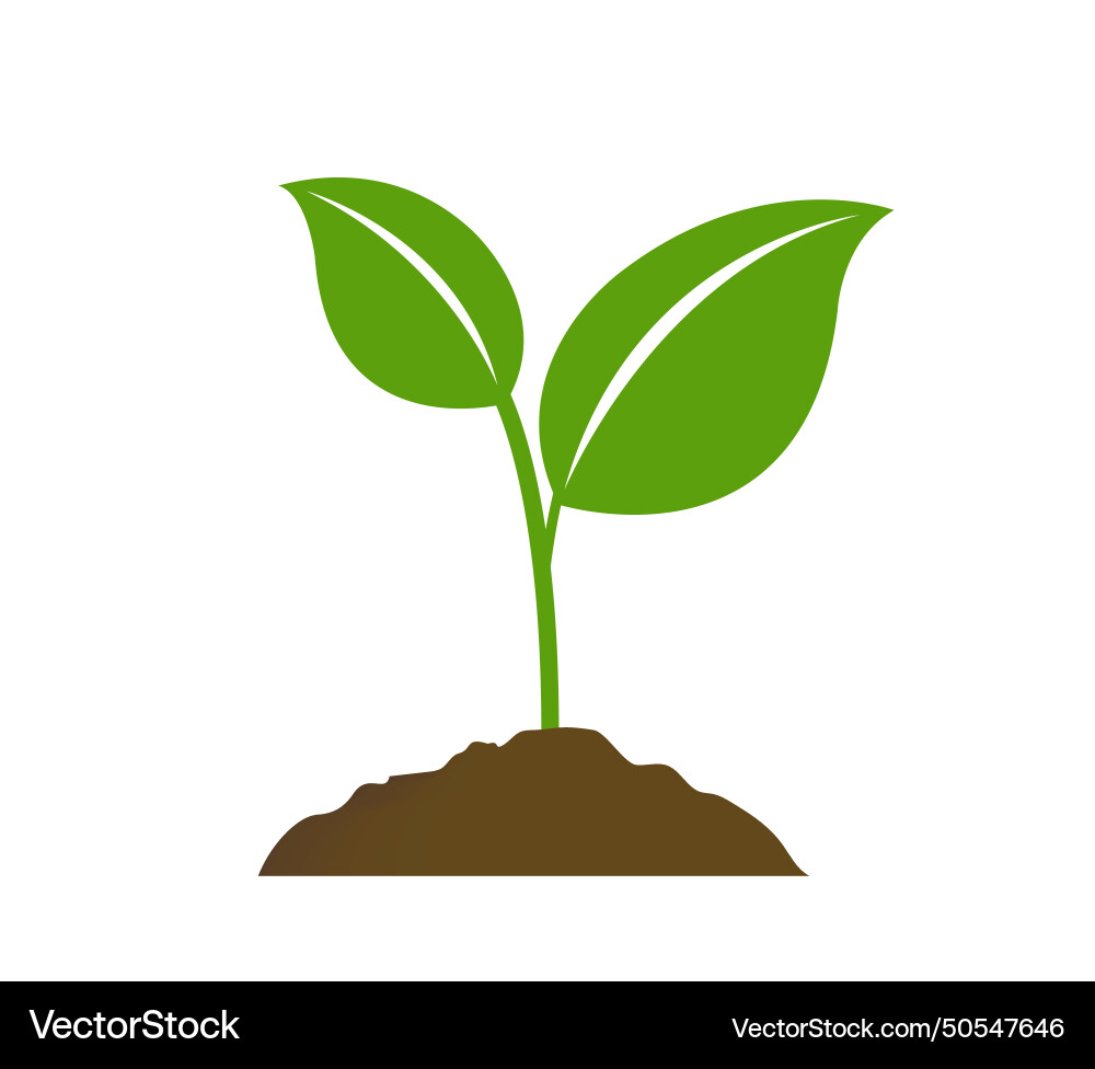 Green sprout logo with white background Royalty Free Vector