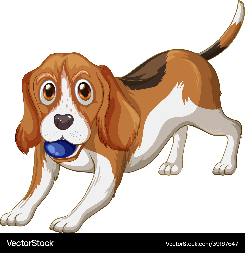 Beagle dog cartoon on white background Royalty Free Vector