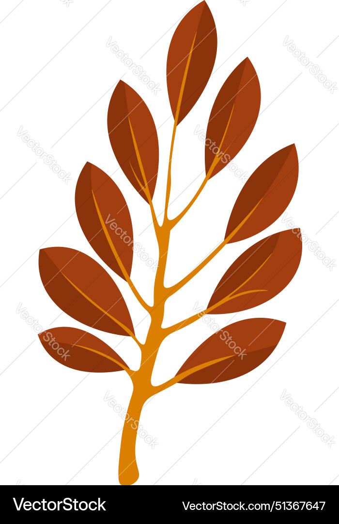 Brown leaf on white background Royalty Free Vector Image