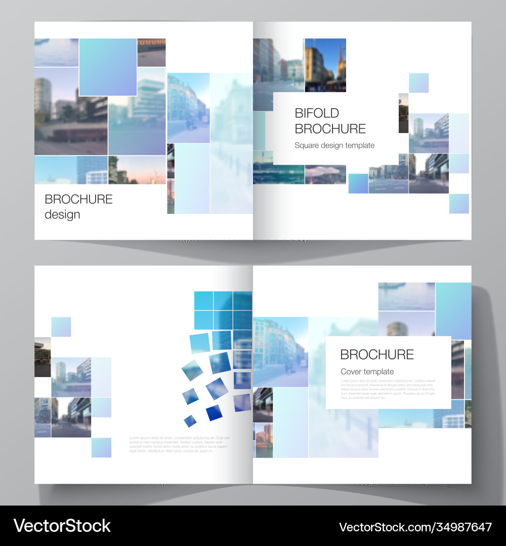 Layout two covers templates for square Royalty Free Vector