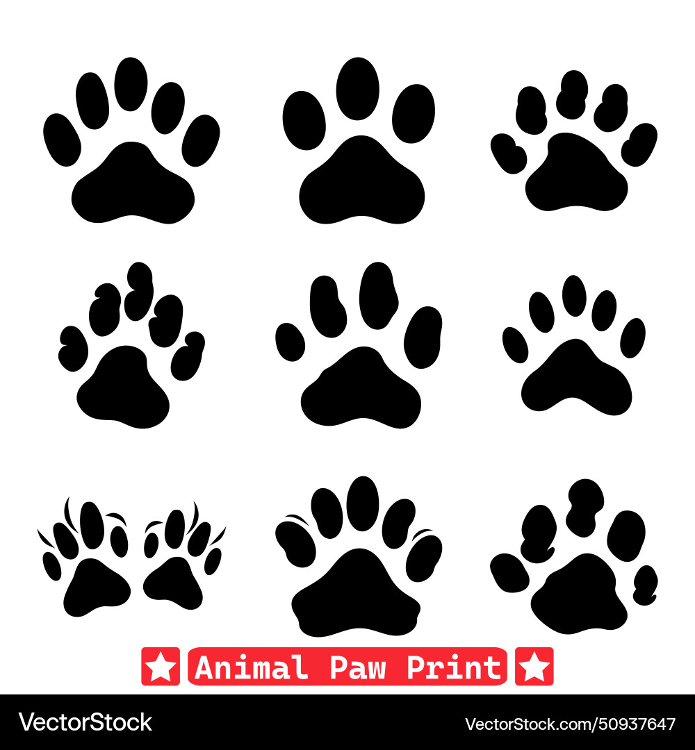 Wildlife tracks collection animal paw print Vector Image