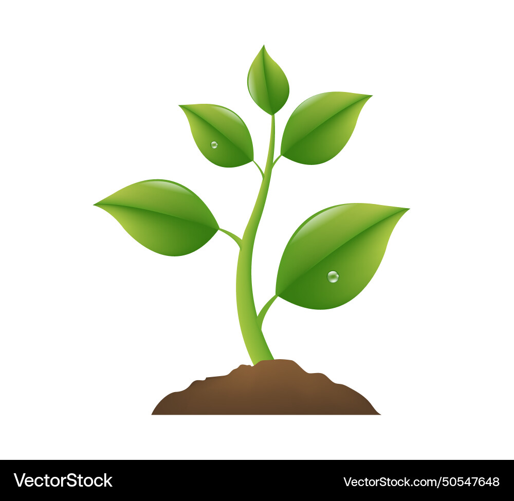 Green sprout with white background Royalty Free Vector Image
