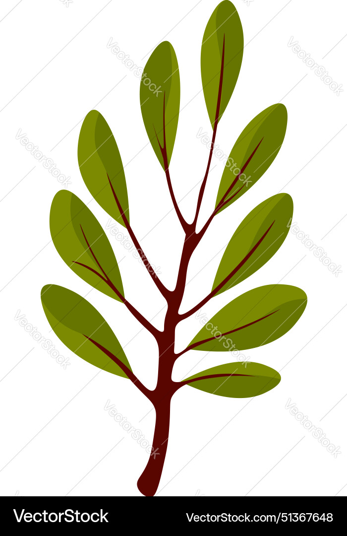 Single green leaf on white background Royalty Free Vector