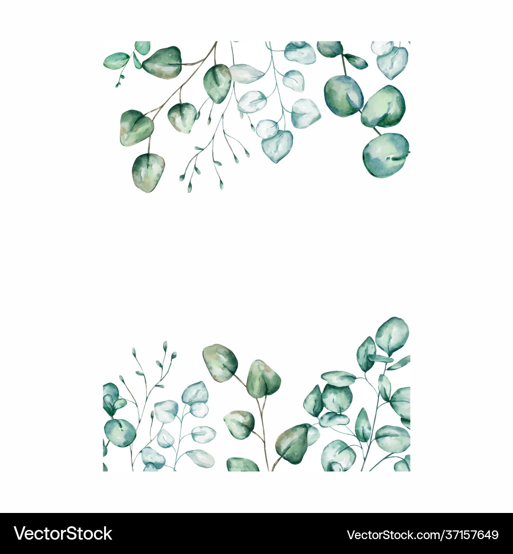 Watercolor floral frame with eucalyptus branches Vector Image