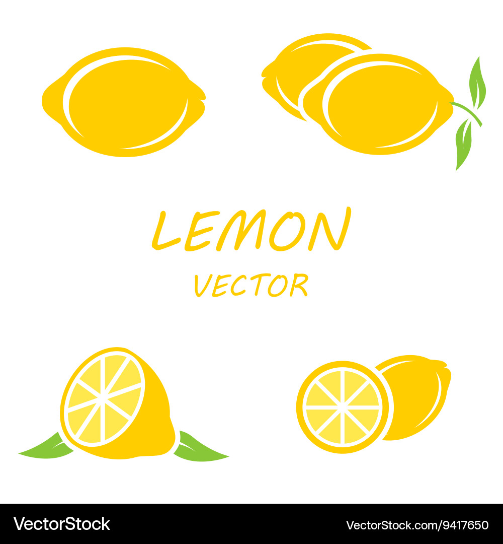 Flat lemon icons set Royalty Free Vector Image
