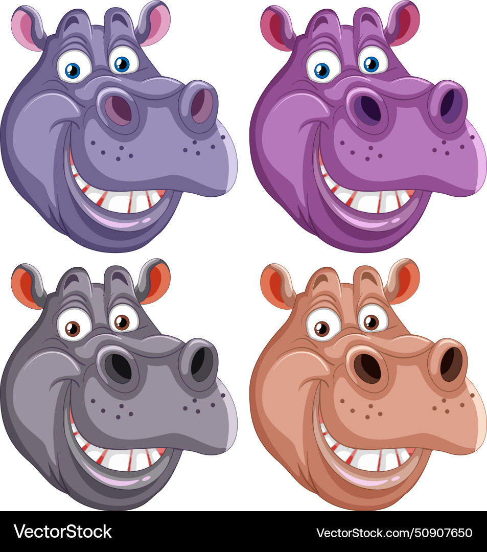Four expressive hippo faces in different colors Vector Image