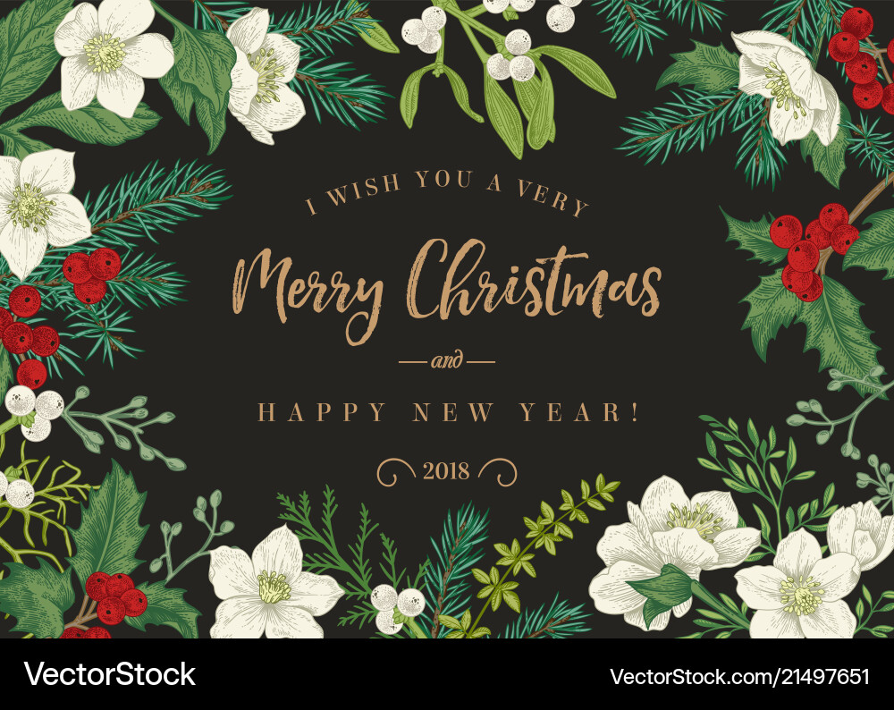 Rustic Holly Vector Images (over 900)