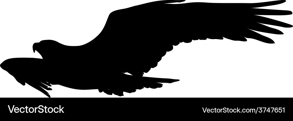 Eagle flying Royalty Free Vector Image - VectorStock