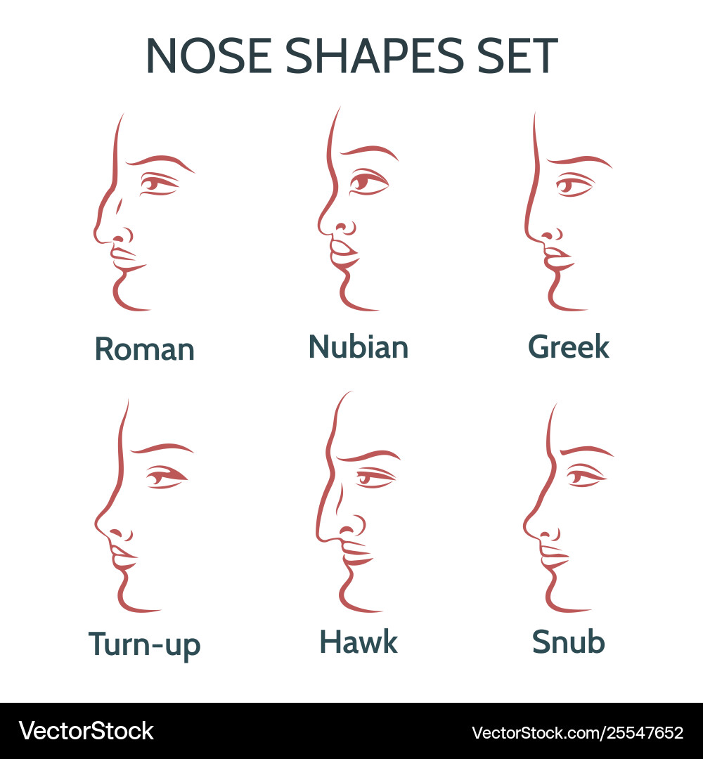 Contour nose shapes set Royalty Free Vector Image