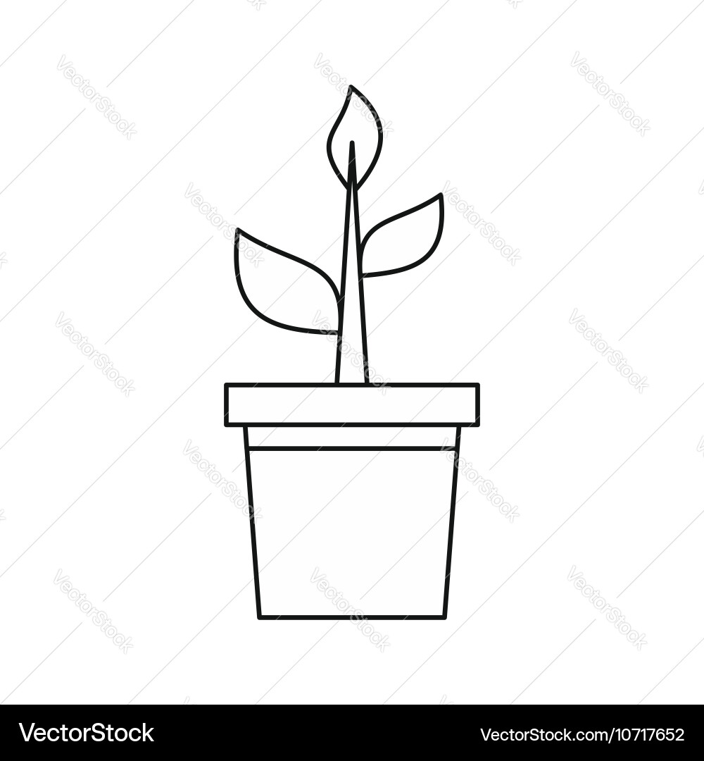Potted plant icon outline style Royalty Free Vector Image