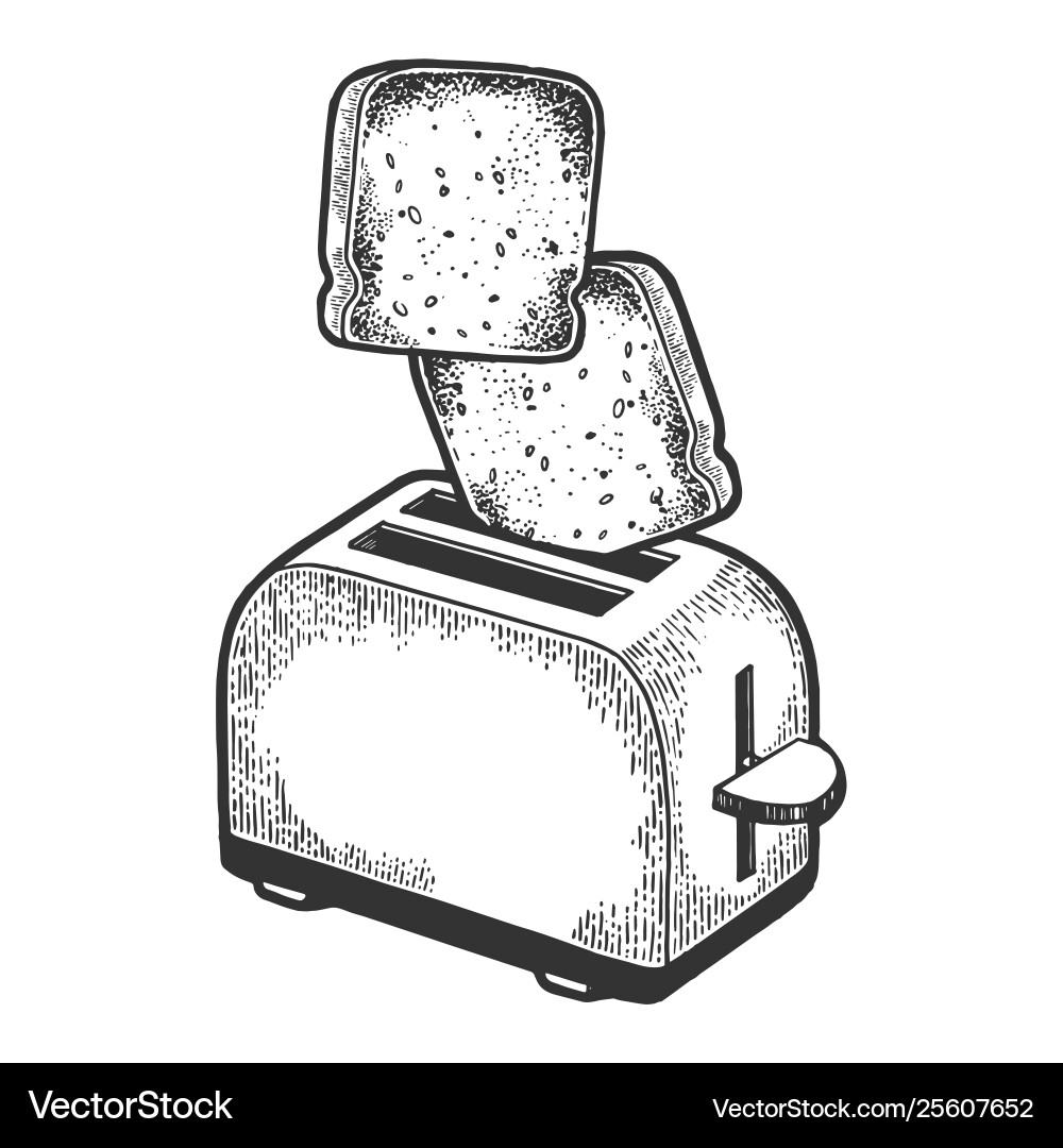 Toaster flying out toast sketch engraving Vector Image