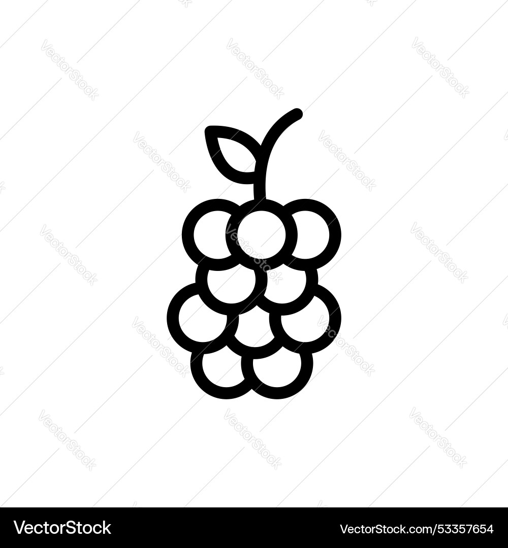 Grape icon set wine vineyard berry cluster symbol Vector Image