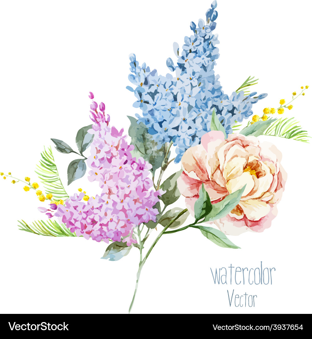 Lilac bouquet Royalty Free Vector Image - VectorStock