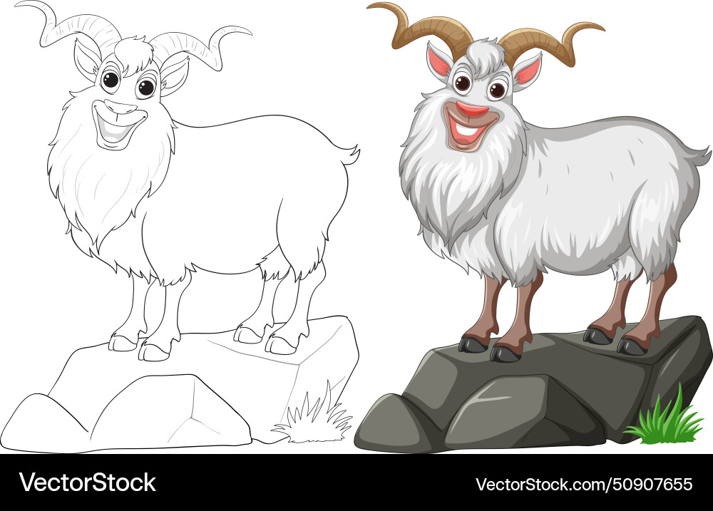 Colorful and outlined mountain goat on stones Vector Image