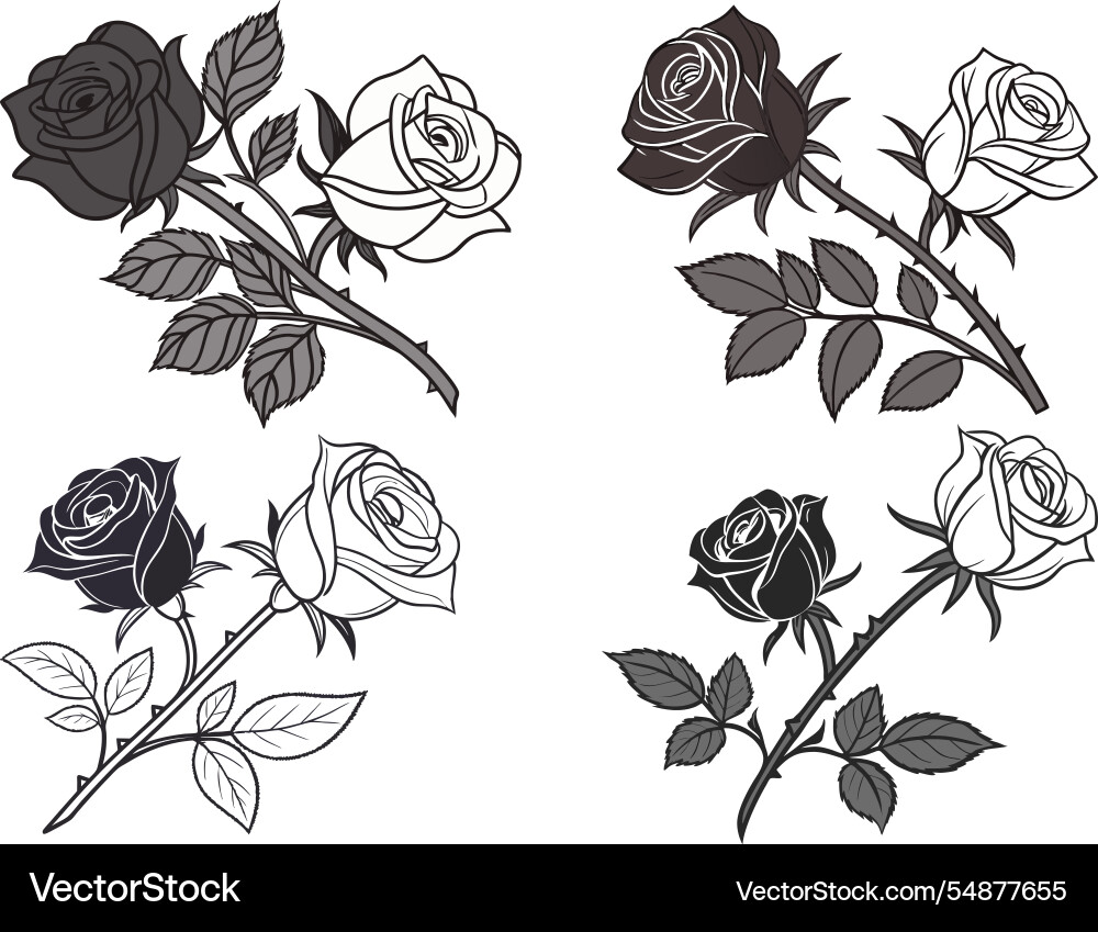 Red rose icon design with a white background Vector Image