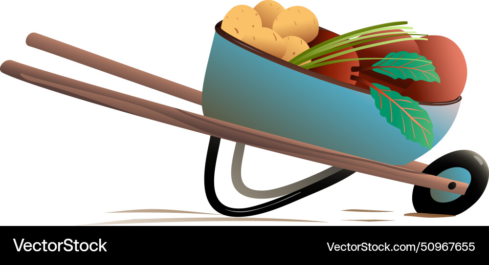 Wheelbarrow loaded with fresh organic vegetables Vector Image