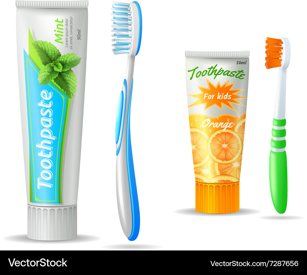 Toothpaste and toothbrush for kids adults Vector Image