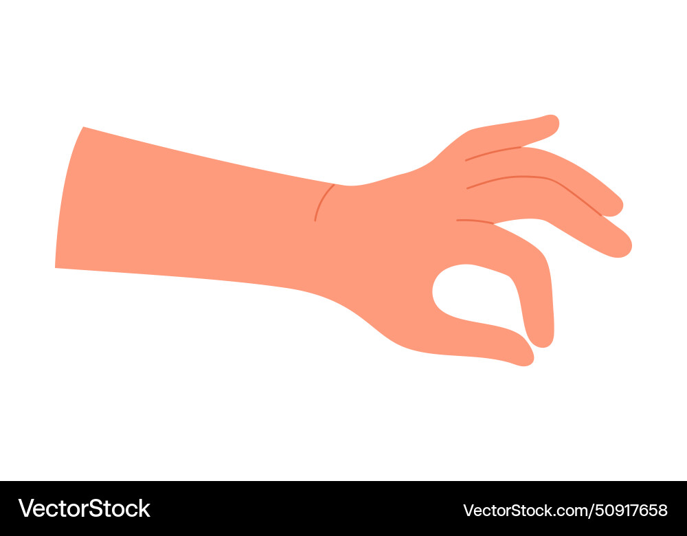 Human hand showing ok gesture with fingers Vector Image