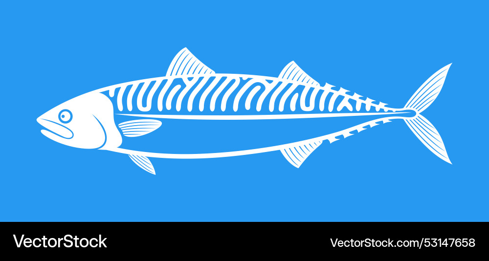 Mackerel Royalty Free Vector Image - VectorStock