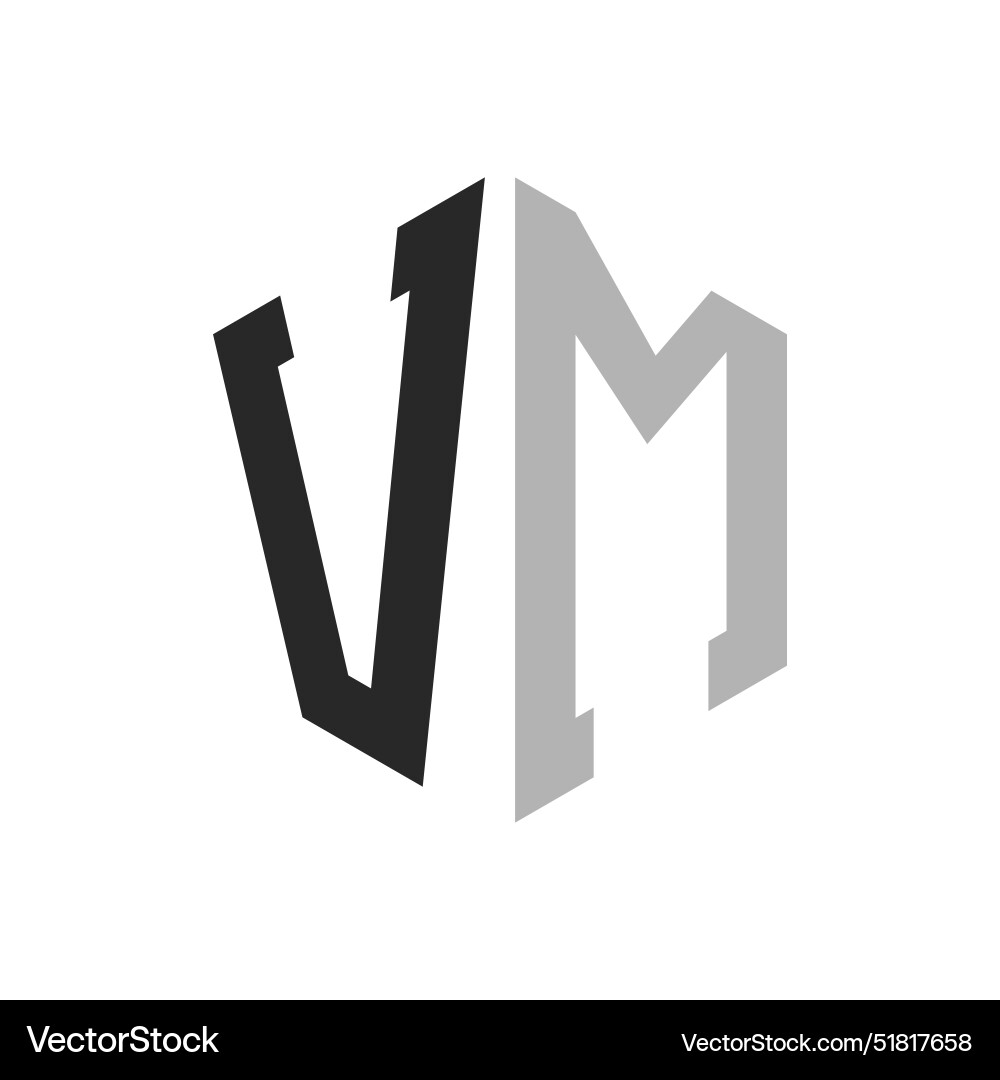 Modern unique hexagon letter vm logo design Vector Image