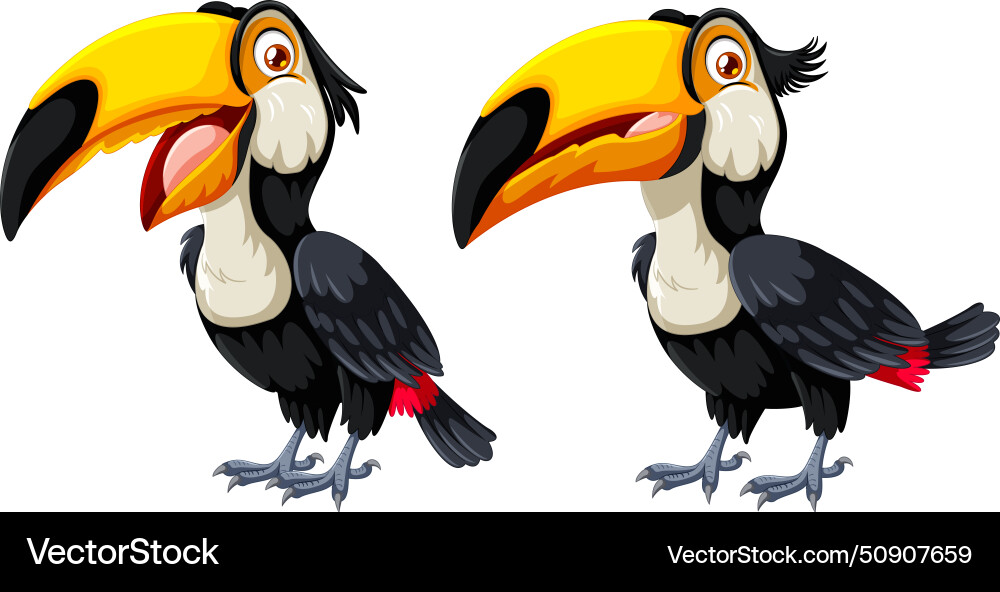 Two vibrant toucans in format Royalty Free Vector Image